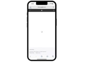 How Long Does Apple Pay Refund Take? - Noncashy